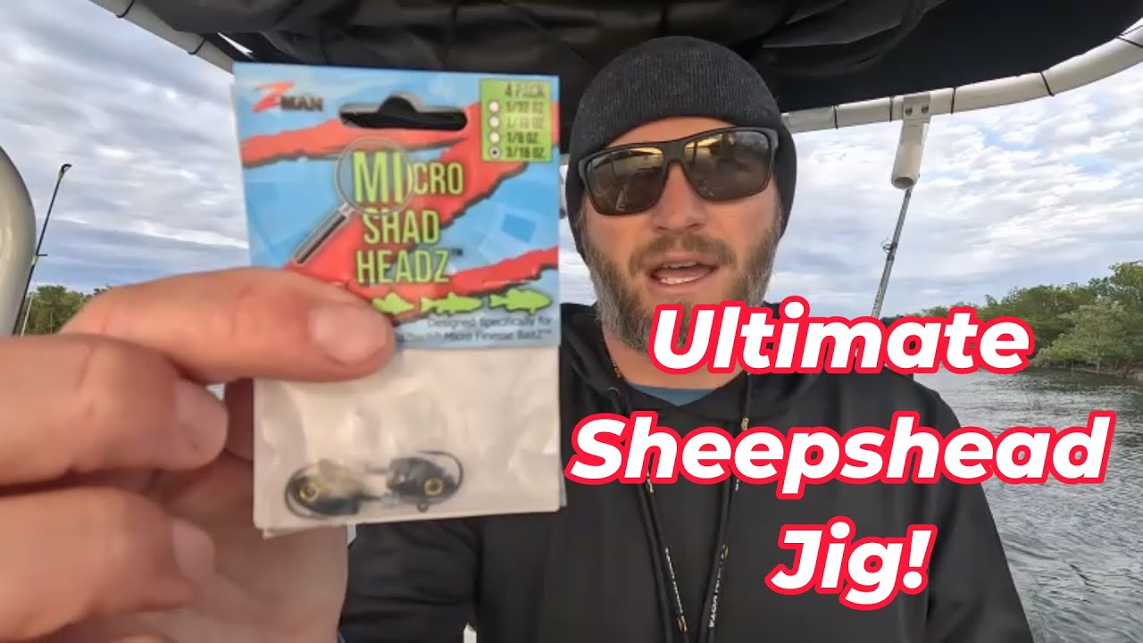 The Ultimate Sheepshead Jig! Smashing Sheepshead in New Smyrna Beach ...