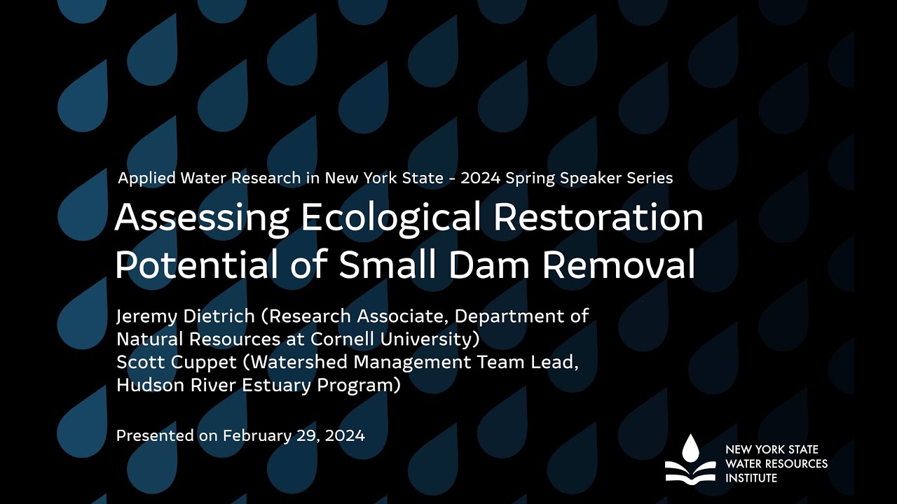 Assessing Ecological Restoration Potential of Small Dam Removal - YouTube