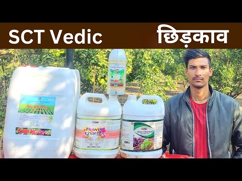 SCT Vedic _ Orange Orchard 🍊 | छिड़काव | Size Charger | Quality Charger ...