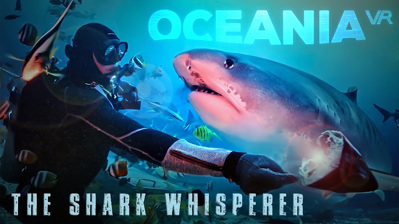 THE SHARK WHISPERER | Underwater VR Trailer for Meta Quest TV - YouTube