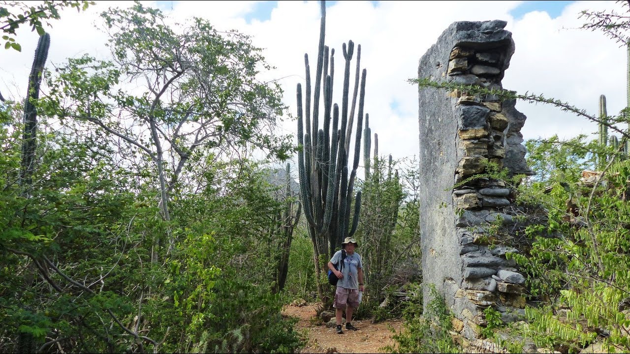 MOUNTAIN ROUTE - CHRISTOFFEL NATIONAL PARK - CURAÇAO ATTRACTION - YouTube