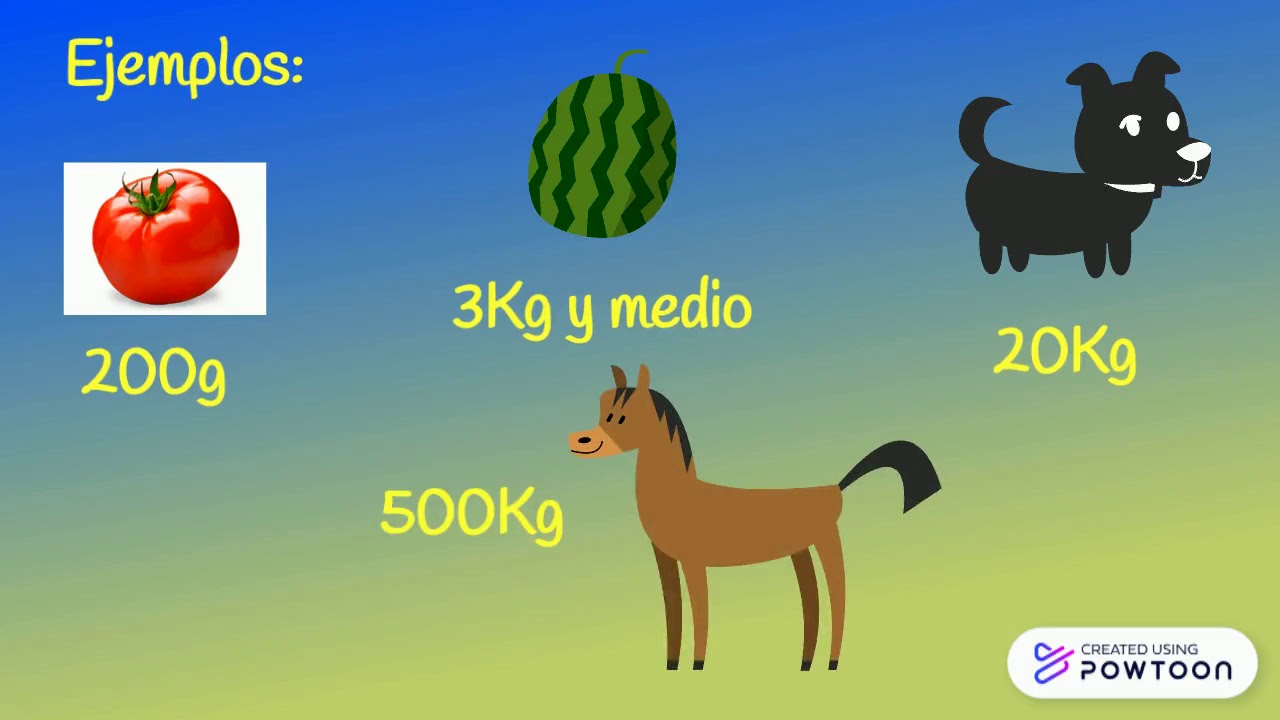 El kilo y el litro - 2º de primaria - YouTube