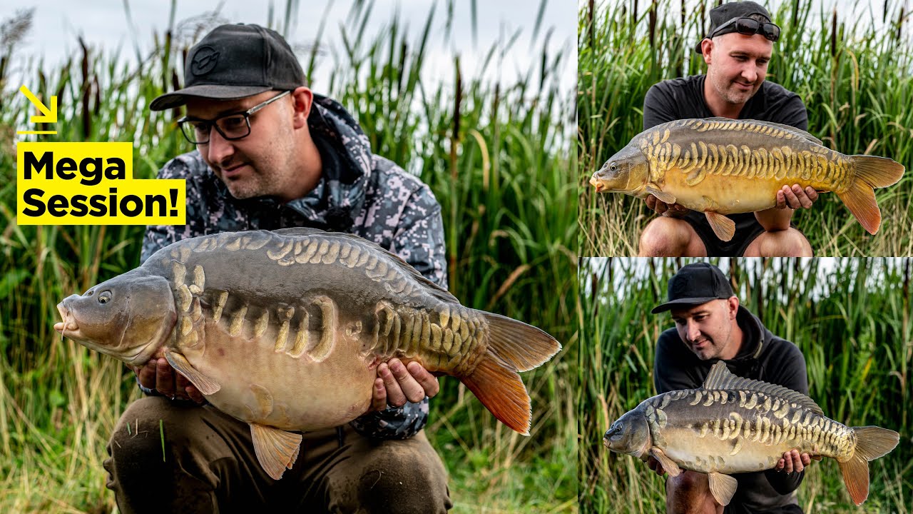 How To Conquer A Pressured Day Ticket Venue With Andy Parr! | Carp ...