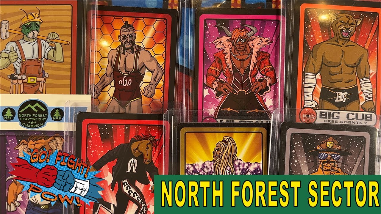 GO.FIGHT.POW! Card & Dice Fighting Game | 59 North Forest Sector ...