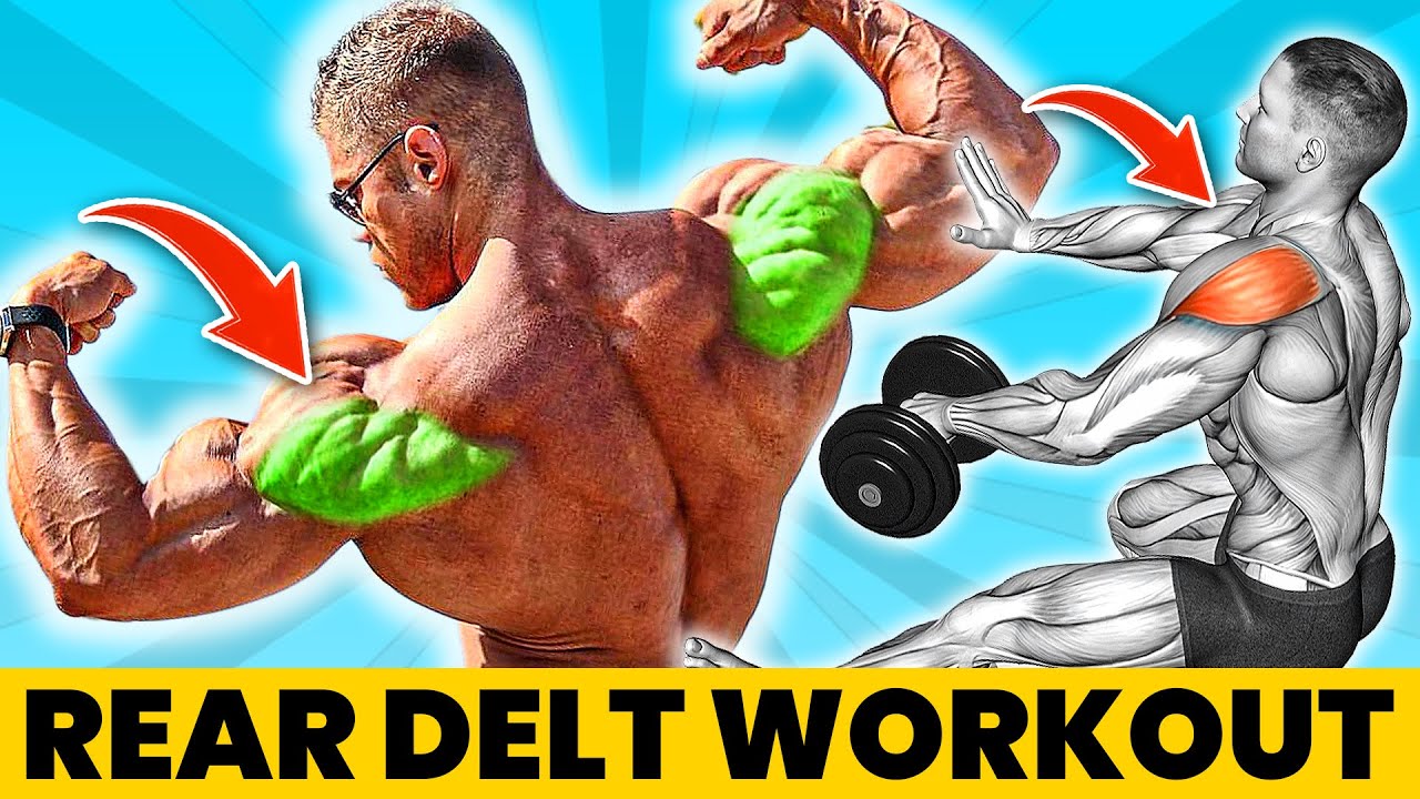 Build Rear Delt Grow Fast (6 Effective Exercises) - YouTube