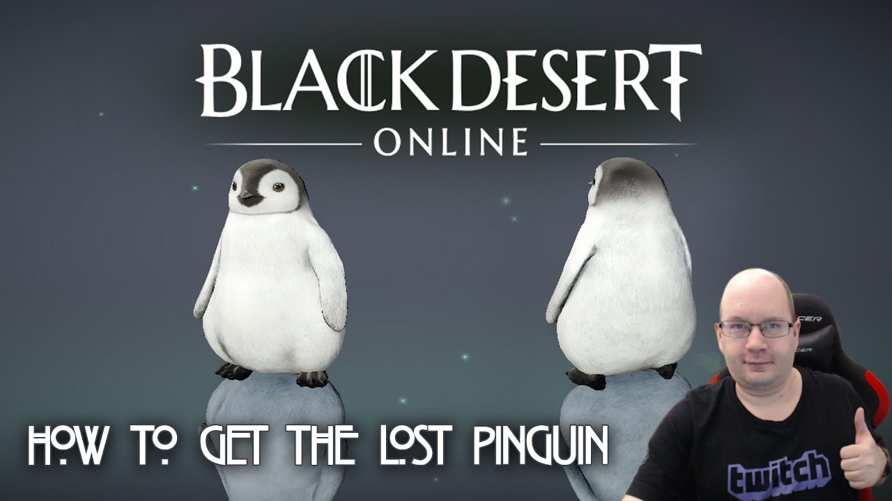 Black Desert Online - How to get the lost Pinguin! - YouTube