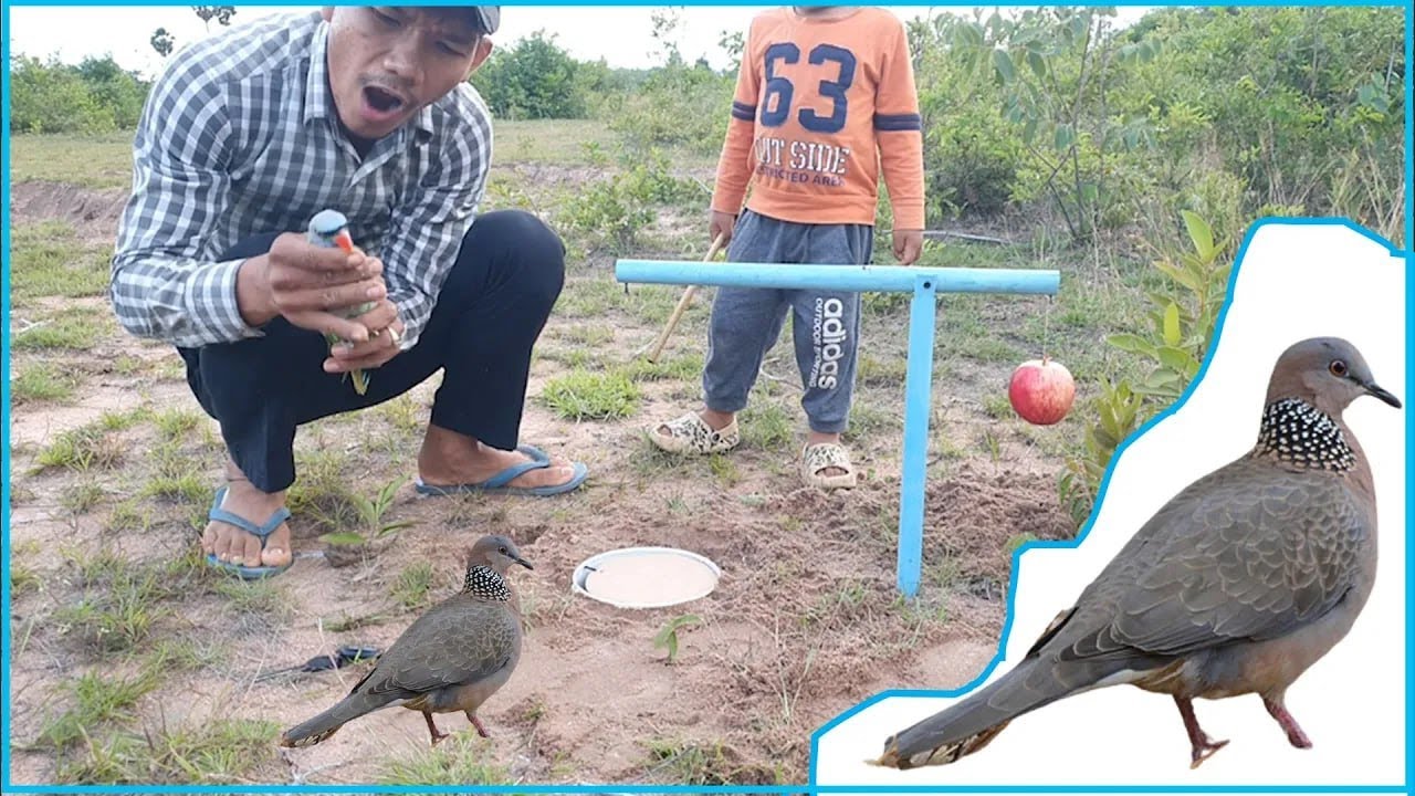 Unveiling the Art of Animal Capture: Innovative Techniques with Apple's ...