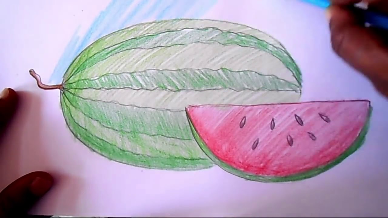 HOW TO DRAW A CUTE WATERMELON - SUPER EASY - YouTube