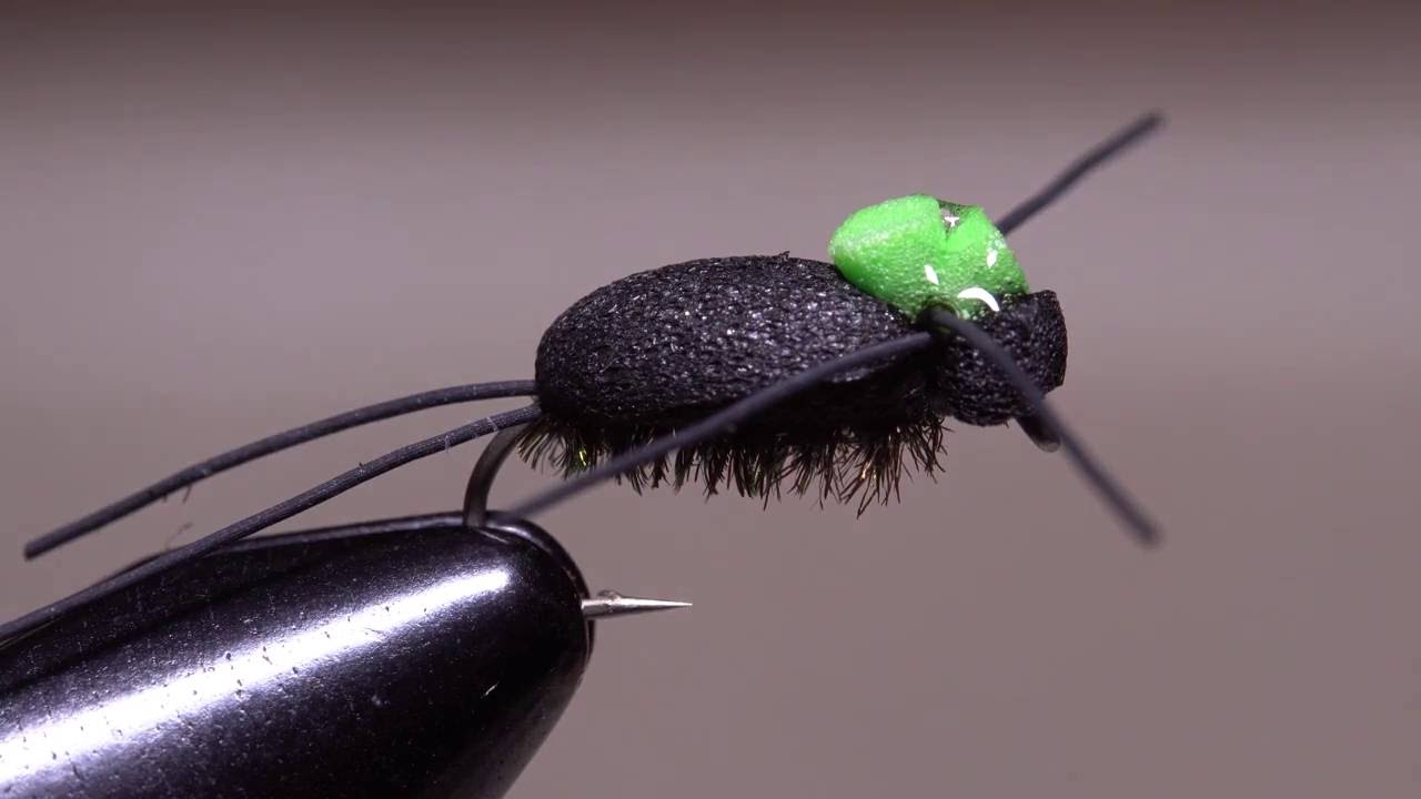 Foam Beetle 2 0 from YouTube - YouTube