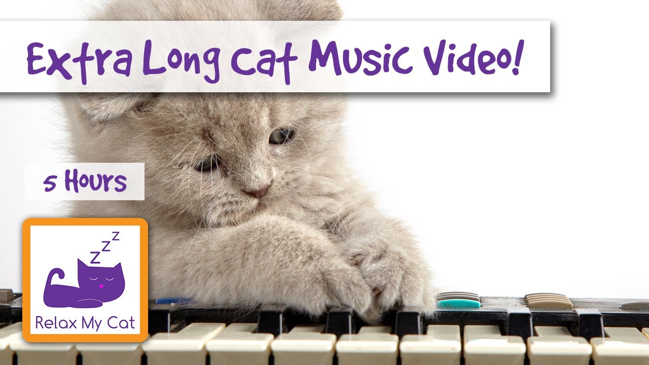 Extra Long Cat Music Video! Relax Your Cat with 5 Hours of Soothing ...