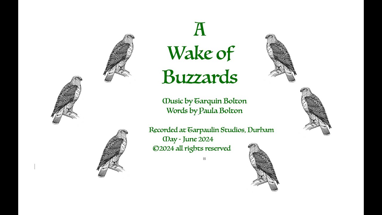 A Wake of Buzzards - YouTube