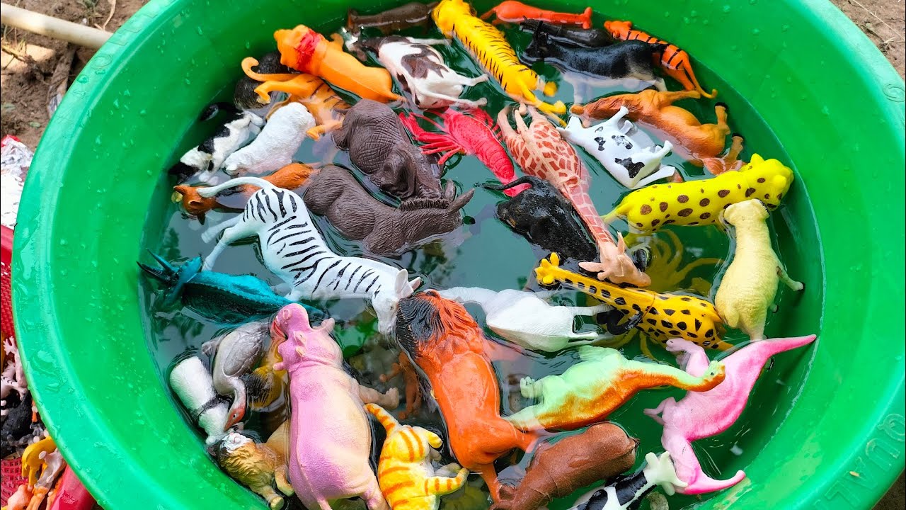 Plastic Animals in Water Tub Dinosaurs, Tiger, Giraffe, Elephant ...