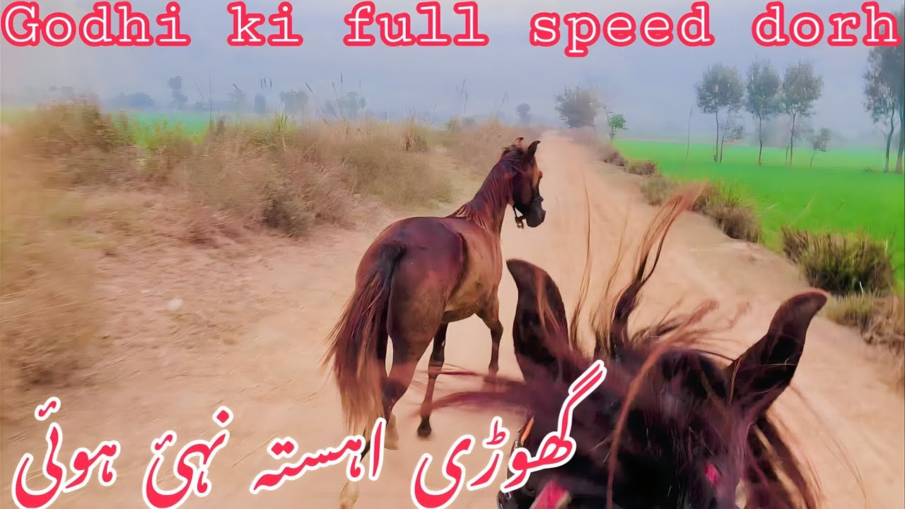 Godhi full speed ma dorh padhi - YouTube