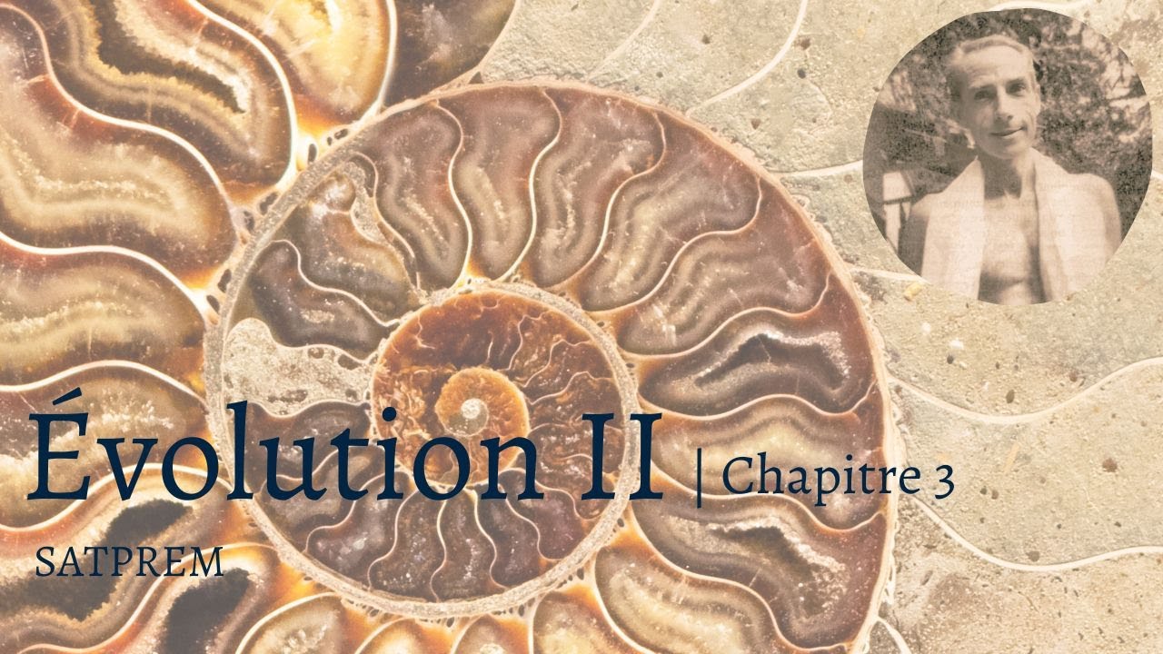 Évolution II, Chap 3 | Satprem - YouTube