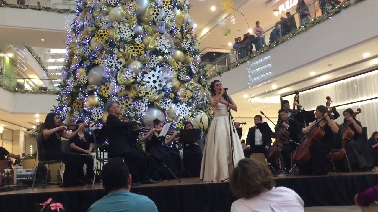 Can't Help Falling in Love With You - Soprano Carmen Goett (Live Opera ...