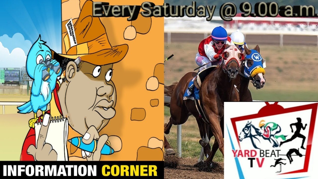 INFORMATION CORNER - YouTube