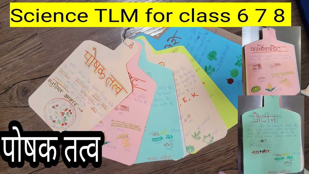 पोषक तत्व Science TLM for class 6 7 8 | Science TLM for upper primary ...