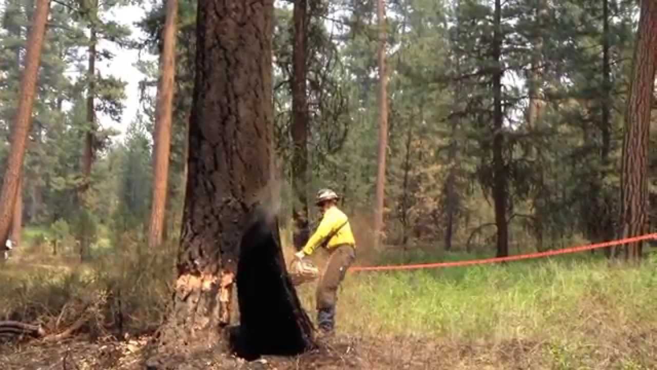 Sawyer_CornerCreekFire_071015 - YouTube