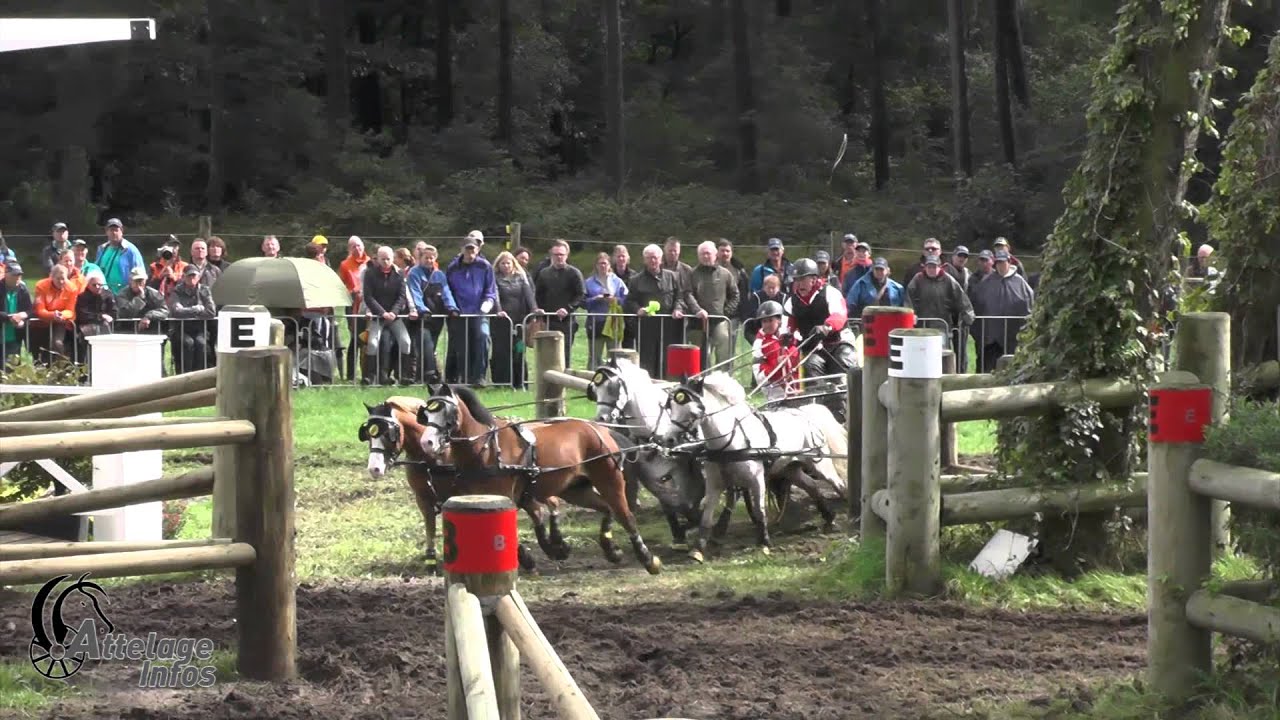 Yannick SCHERRER SUI MARATHON WDPC BREDA 2015 - YouTube