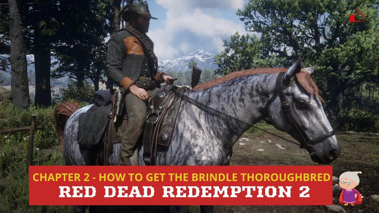How to Get the Brindle Thoroughbred Racehorse - Chapter 2 - Red Dead ...