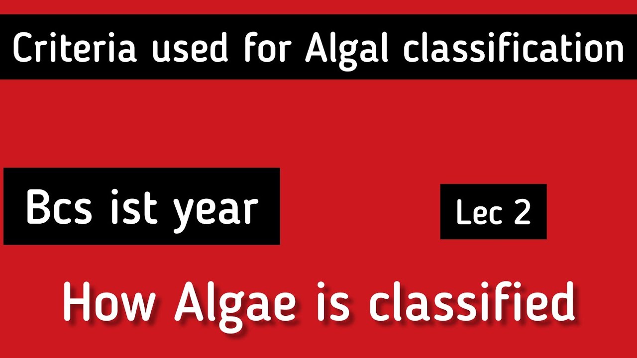 Criteria used for Algal classification / lec2 / classification of Algae Bsc istsem - YouTube