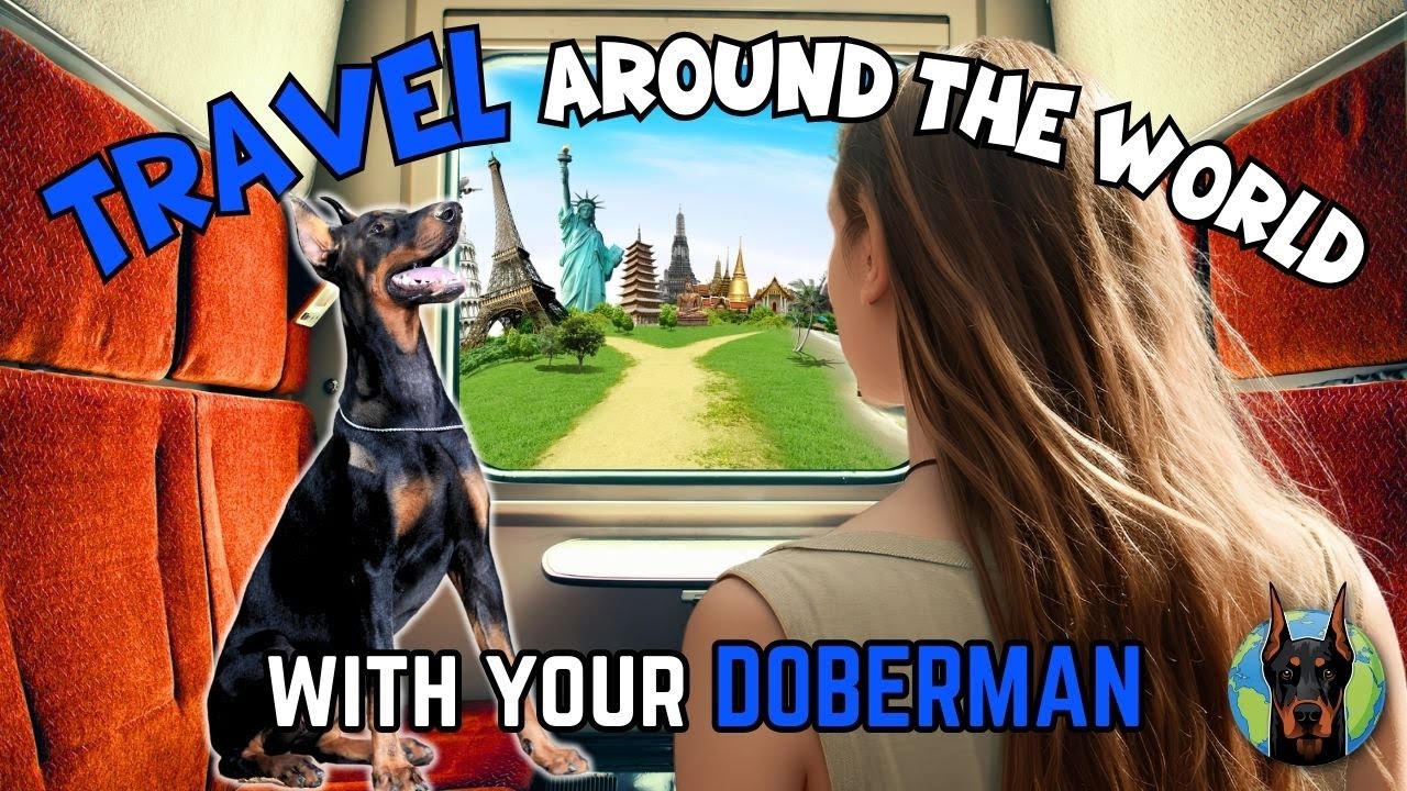 A World Traveler Shows How to Train Your Doberman to Travel - YouTube