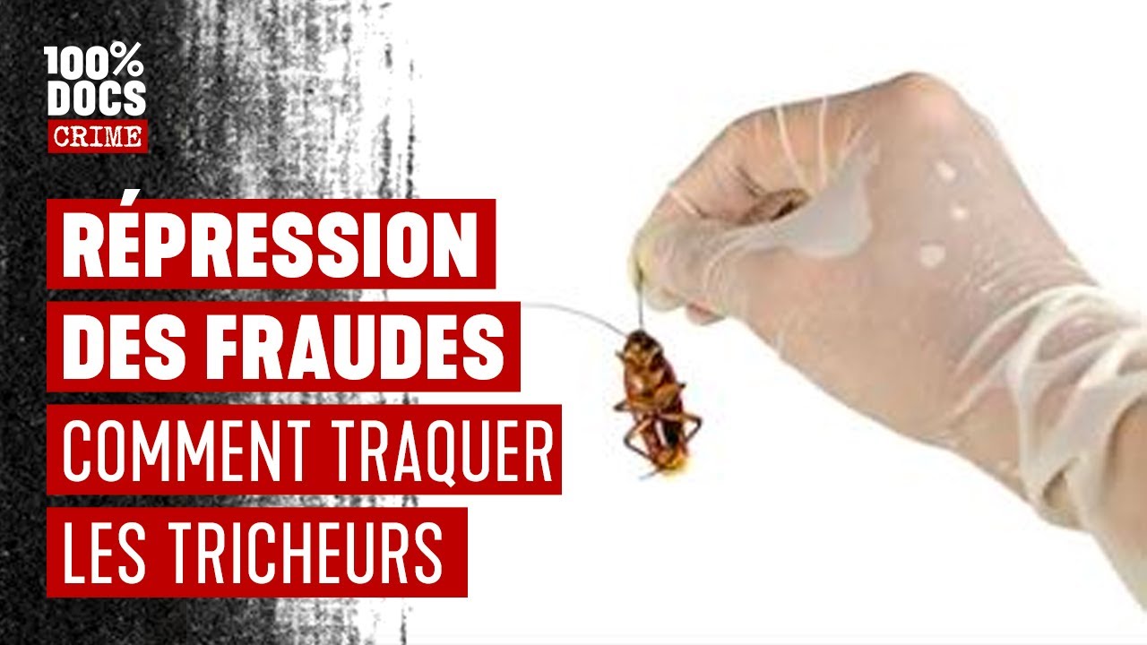 Arnaques, fraudes, restaurants insalubres... Immersion avec la ...