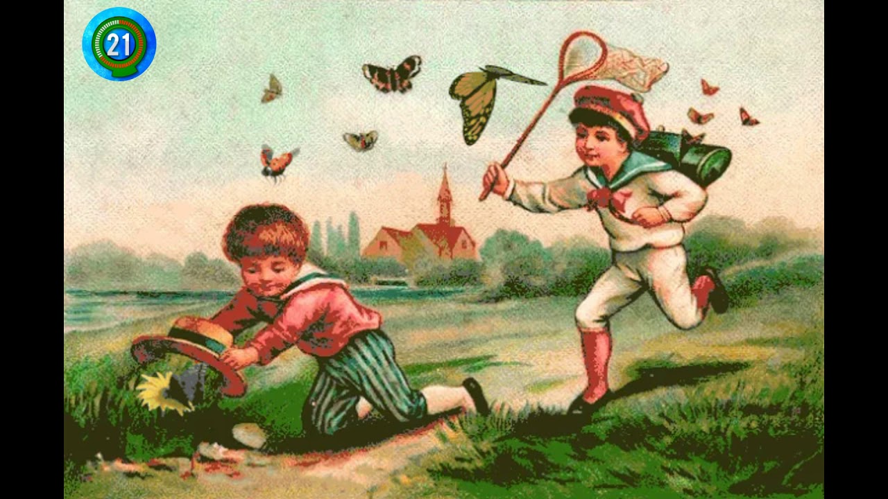 Can You Spot The Hidden Butterfly In This Seriously Hard Optical ...