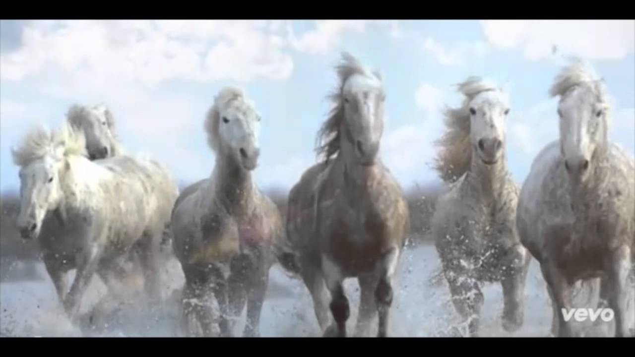 Alpine Biome Project 3 - YouTube