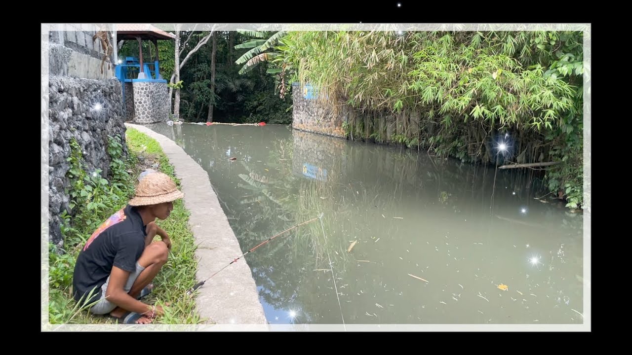 VLOG ENVIRONMENTAL POLLUTION - YouTube