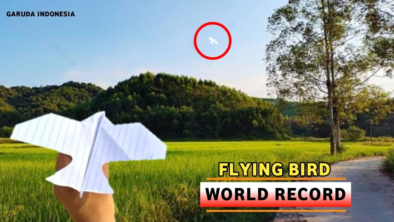 How to Make a Paper Airplane flap its wings like a flying bird - Paper ...