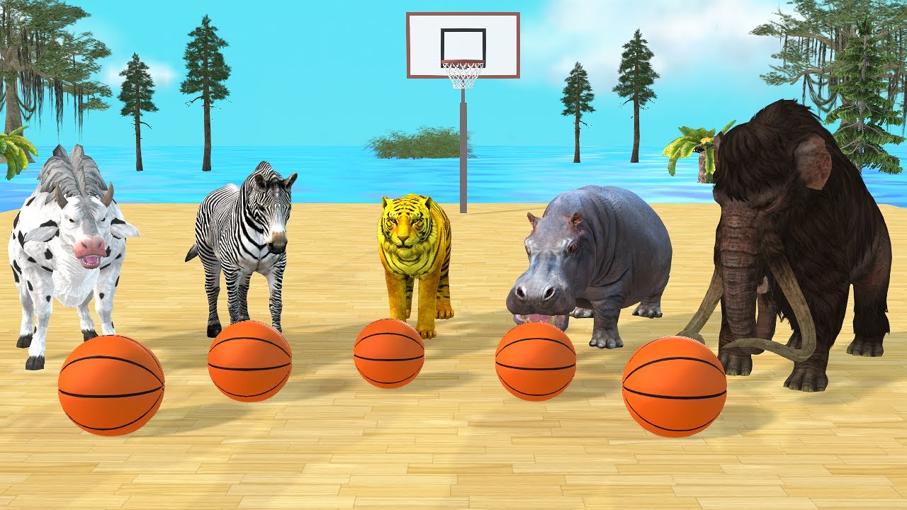 BasketBall Challenge Game With Mammoth Elephant Hippo Buffalo Tiger ...