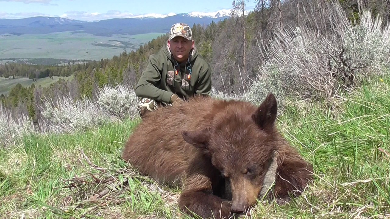 2017 Spring Bear Hunt - Chocolate and Vanilla - Stockton Outfitters ...