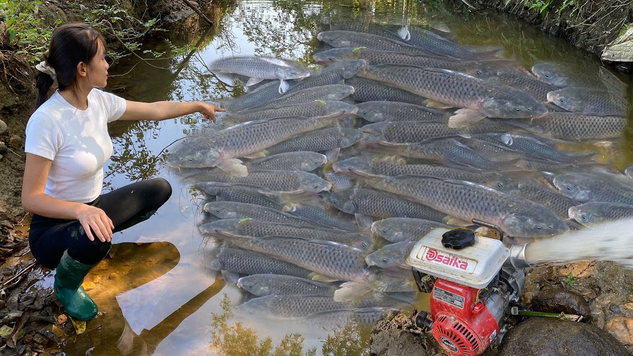 TIMELAPSE: Unique Fishing, Fishing Techniques Harvesting Many Big Fish ...