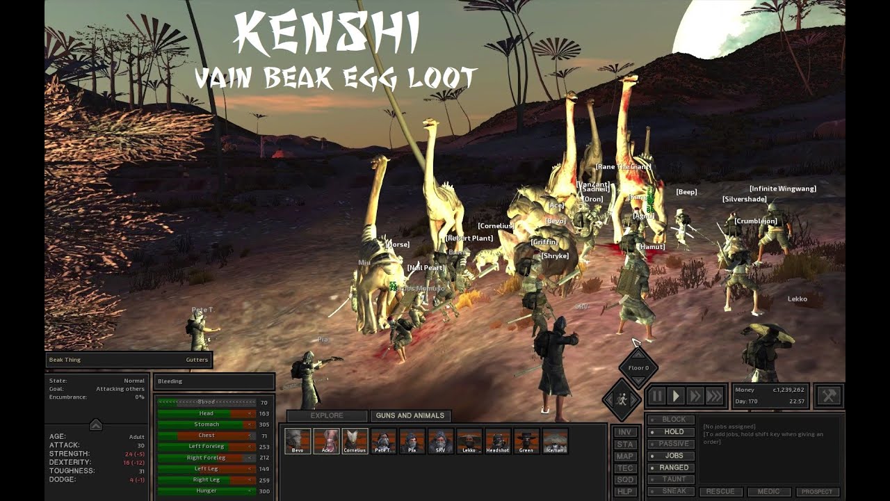 kenshi (Cannibal Start) | Vain Beak Egg Loot - YouTube