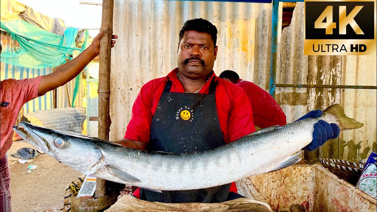 Sila fish cutting video/fishcuttingrs#kasimedu #fish #fishcuttingrs ...