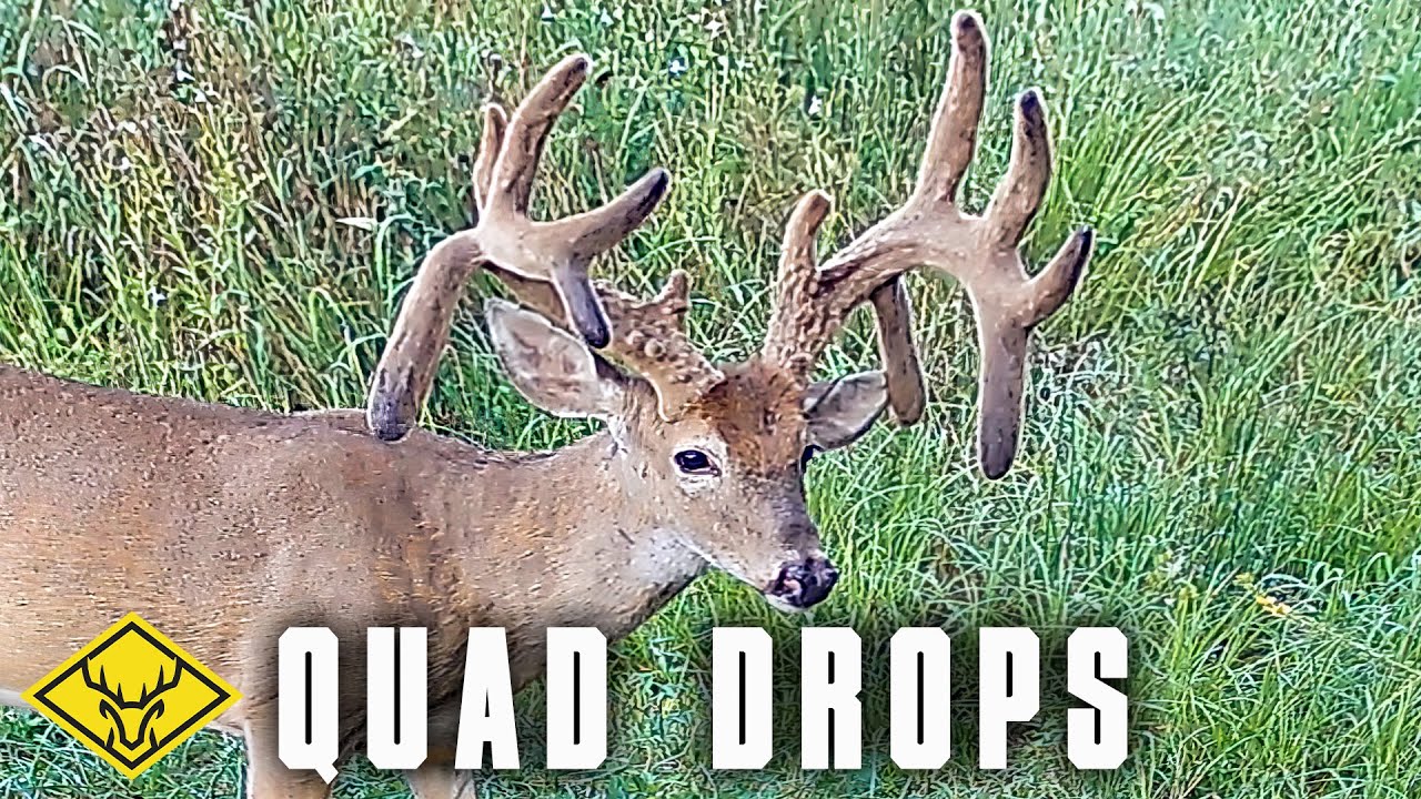 QUAD DROPS | Highs and Lows of Hunting a GIANT Buck! - YouTube