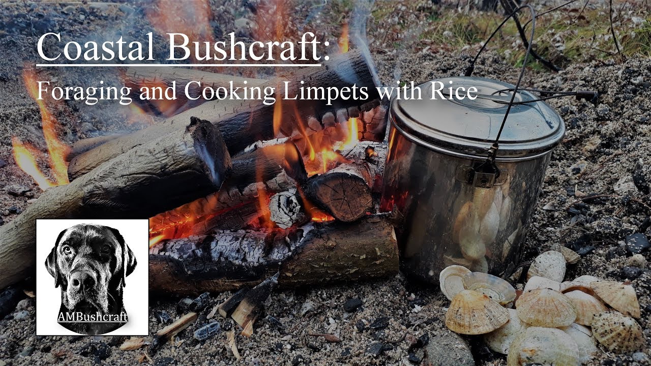 Coastal Bushcraft. Coastal Foraging. Foraging, Cooking, Eating Limpets ...