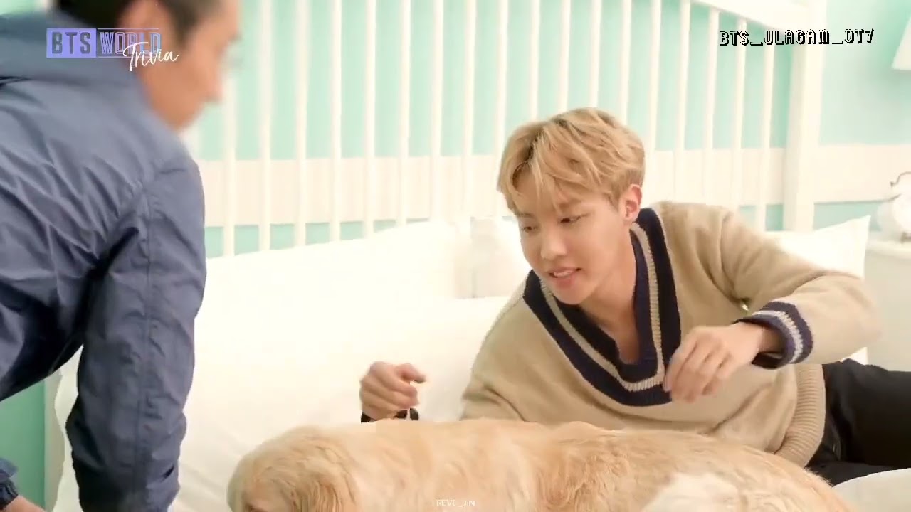 (Eng)Hobi with golden retriever😍 BTS world behind the scenes💜#jhope # ...
