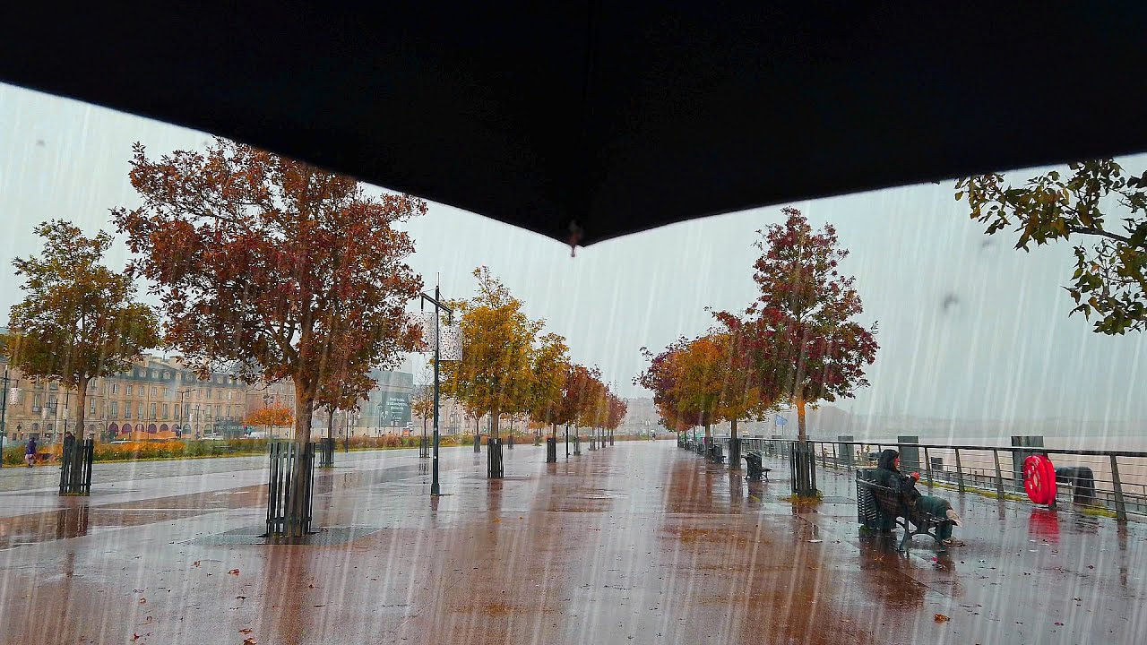 Walking in the Heavy Rain - dock area | Nov 2022|Bordeaux 4k France ...