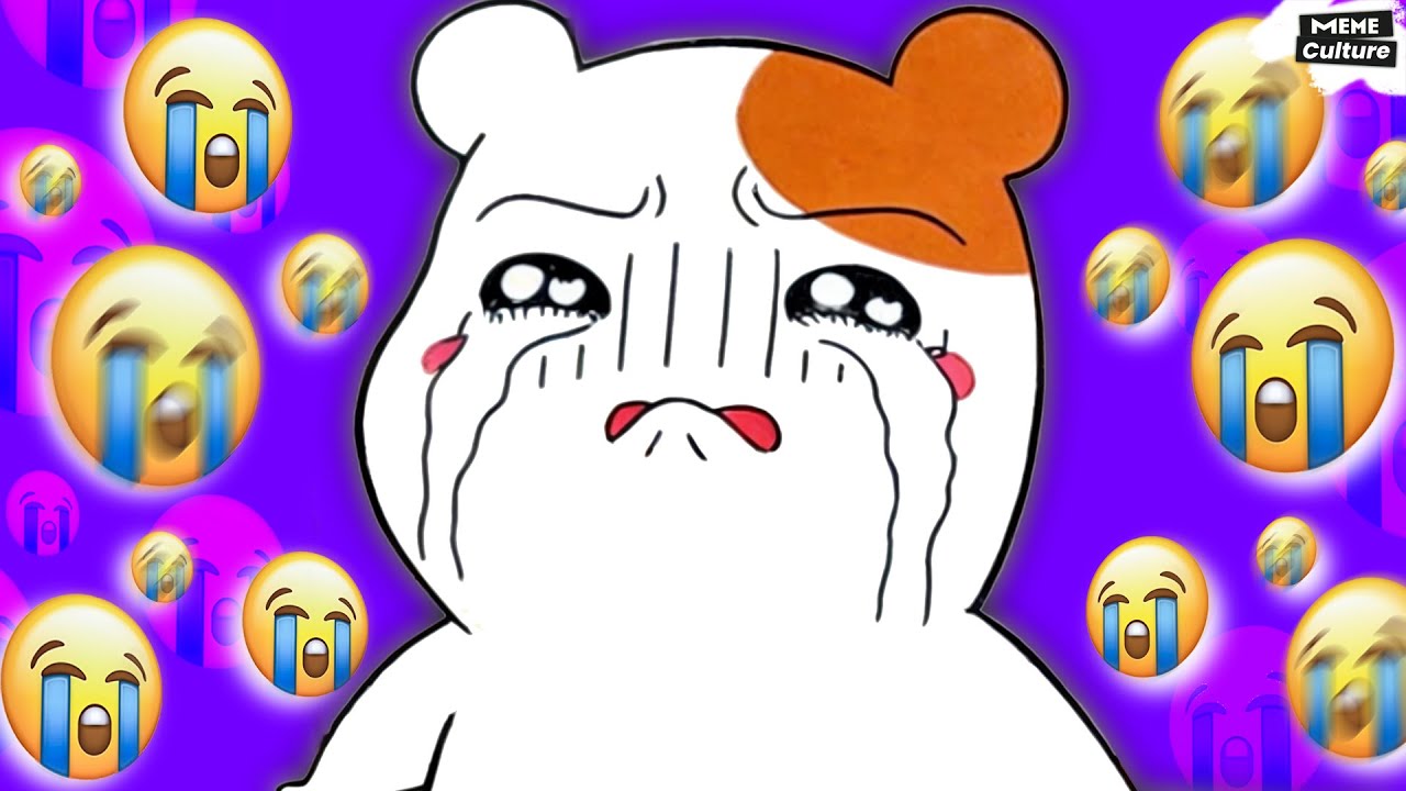 Ebichu Crying meme. How Hamster became a meme - YouTube
