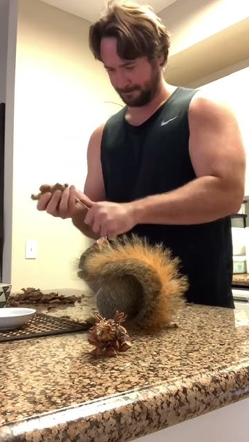 Learning how to open pine cones - YouTube