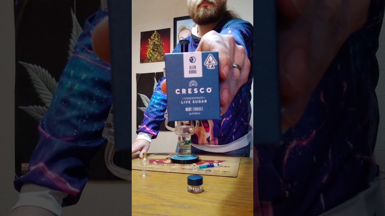 Cheers! Alien Bubba Live Sugar 👽 by Cresco Labs 🔥😻🐾 - YouTube