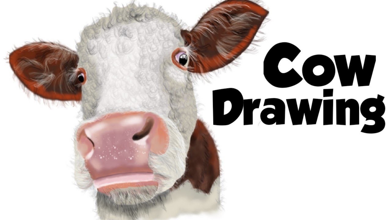How to create a farmyard Cow from scratch to final illustration. # ...