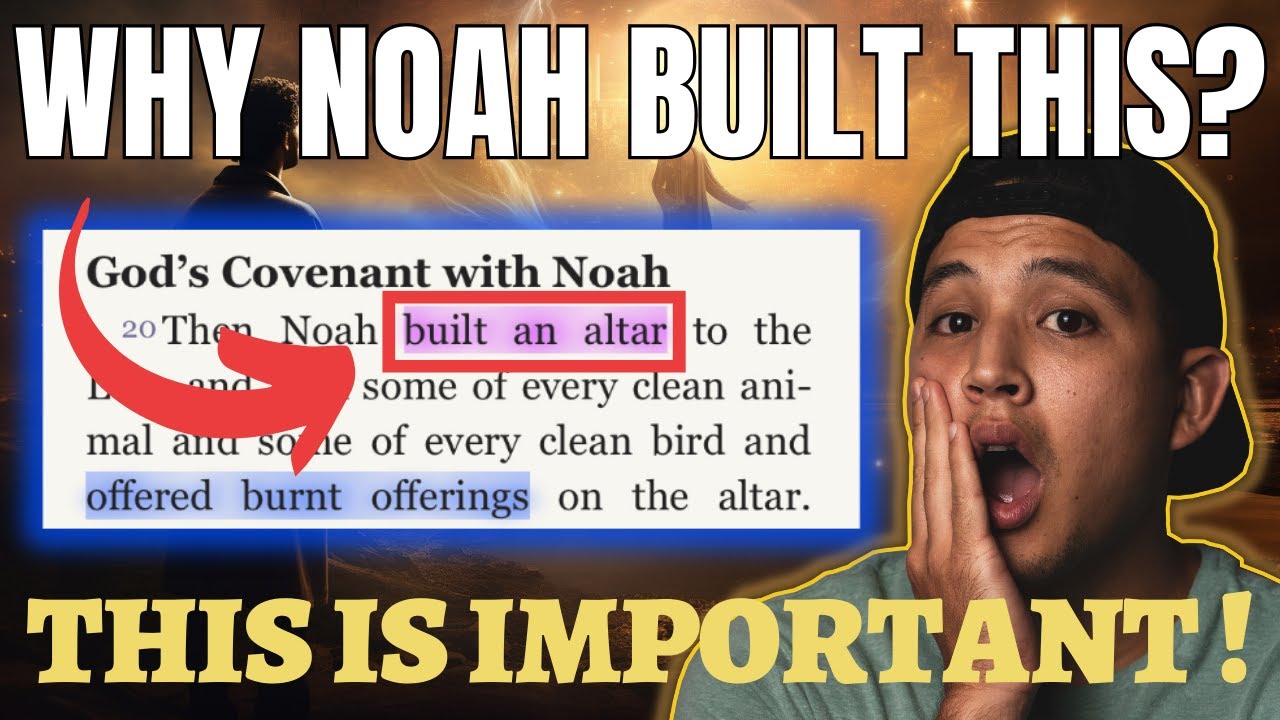 Why Is THIS The First Thing Noah Does Off The Ark? | Bible Study in ...