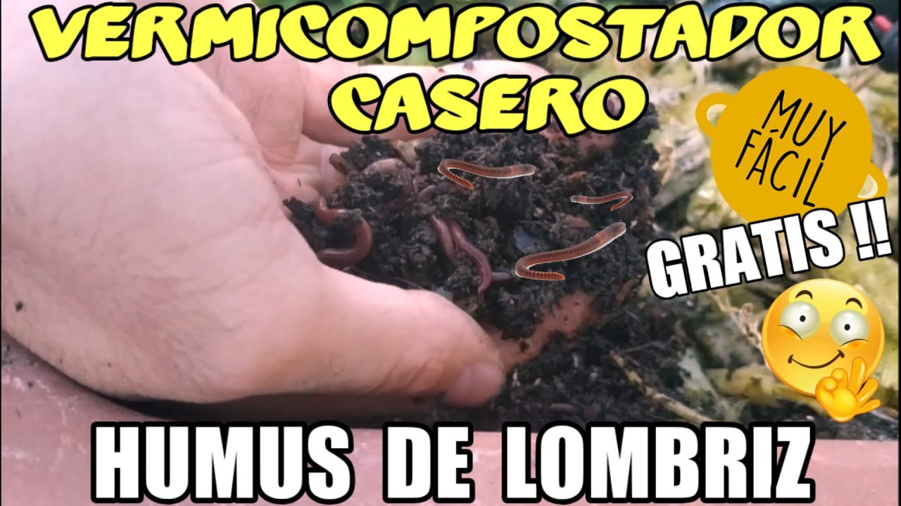COMO HACER HUMUS DE LOMBRIZ GRATIS | VERMICOMPOSTADOR CASERO Tutorial ...