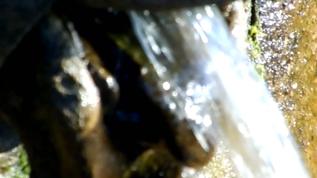 Nikon Coolpix S6150 Digital Camera Test Video With Zoom