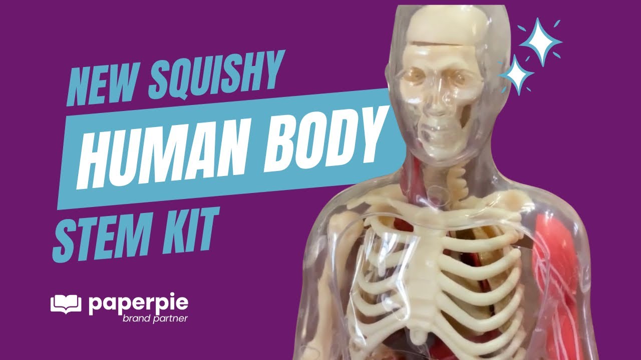 New Squishy Human Body Kit - Smart Lab/PaperPie - YouTube
