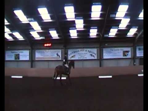 Tornos Intro B Dressage Test, 70% - YouTube