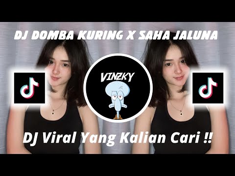 DJ DOMBA KURING X SAHA JALUNA VIRAL TIK TOK TERBARU 2023 YANG KALIAN CARI